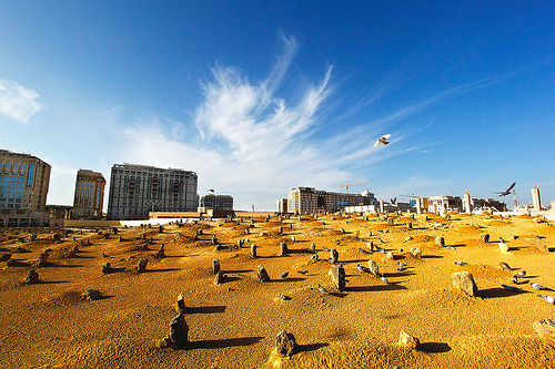 Kenapa Tabur Bunga di Kubur, Sunnahkah? » ilmusunnah.com